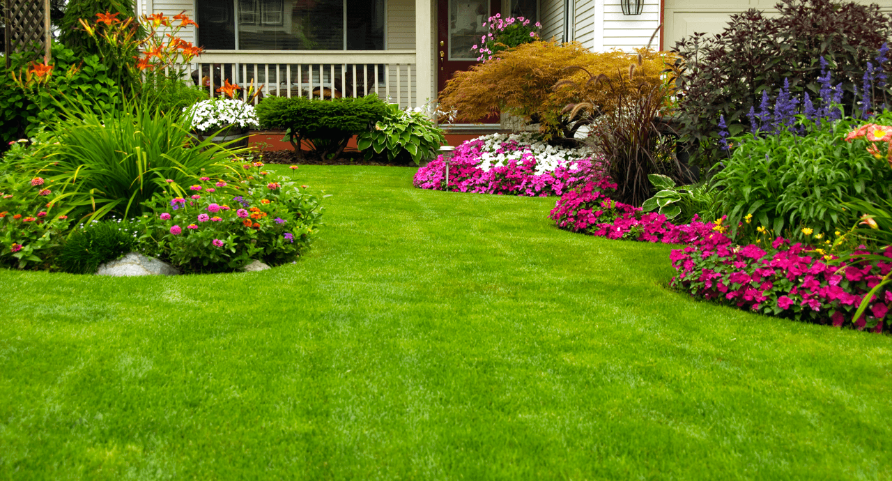 Landscaping Guidelines Demystified - Pacesetter Homes